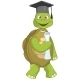 Turtle. Student., Vectors | GraphicRiver