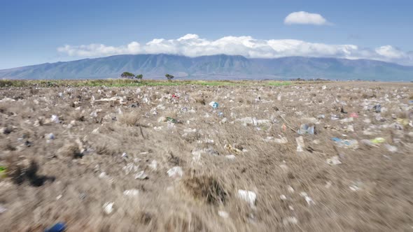 Nature Decline Climate Change Global Warming, Stock Footage | VideoHive