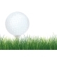 Golf Ball by Visual_Generation | GraphicRiver