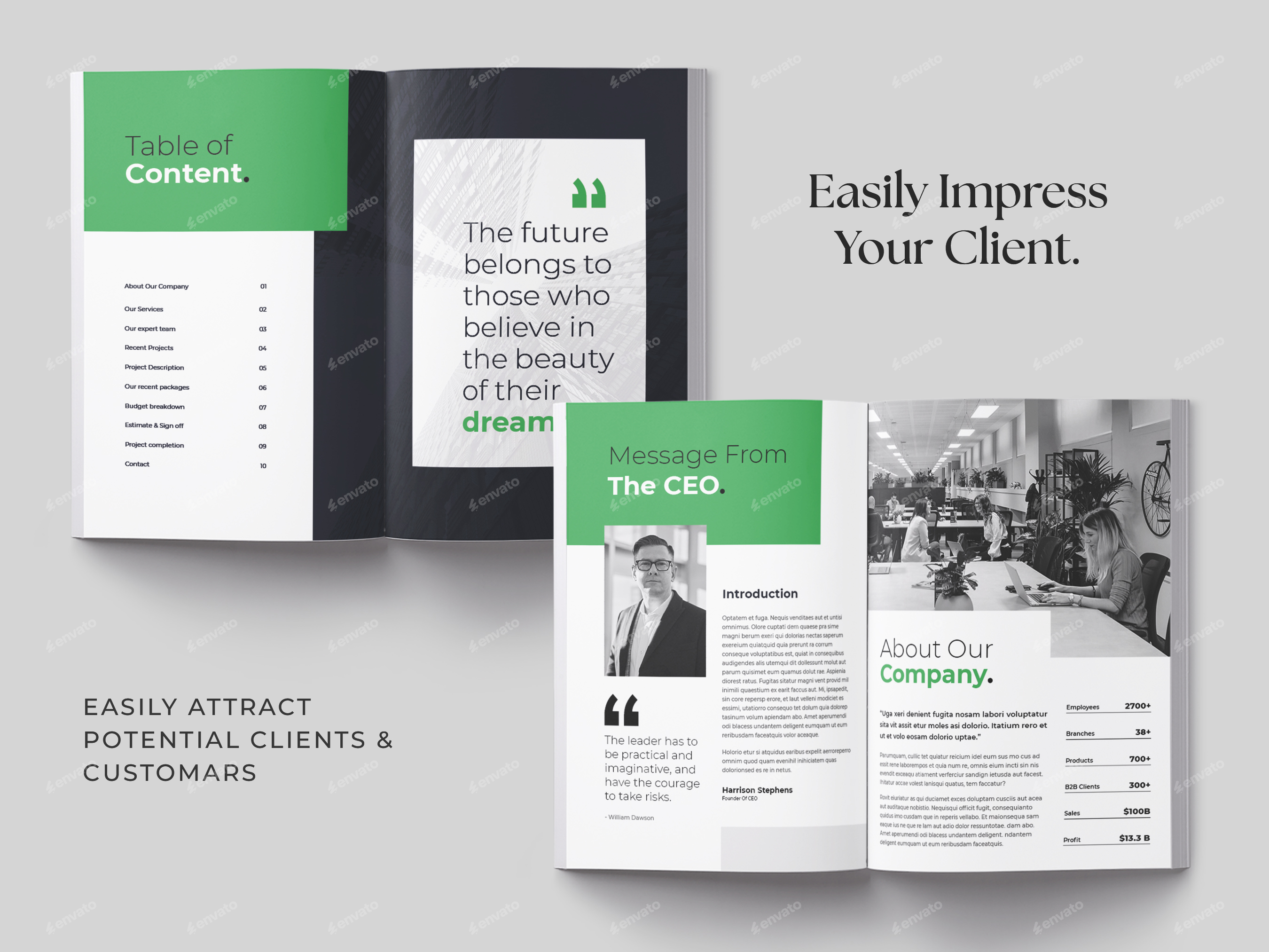 Annual Report Template | Editable in MS Word, InDesign, Canva and ...