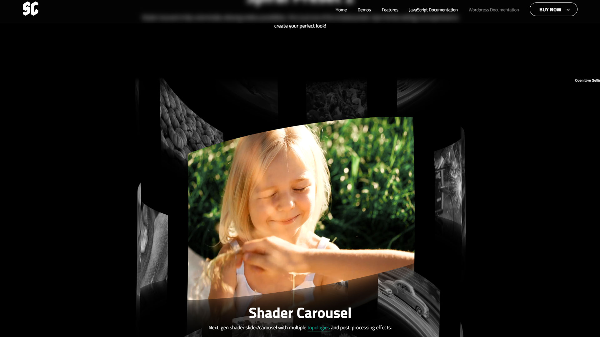 Shader Carousel by FWDesign | CodeCanyon