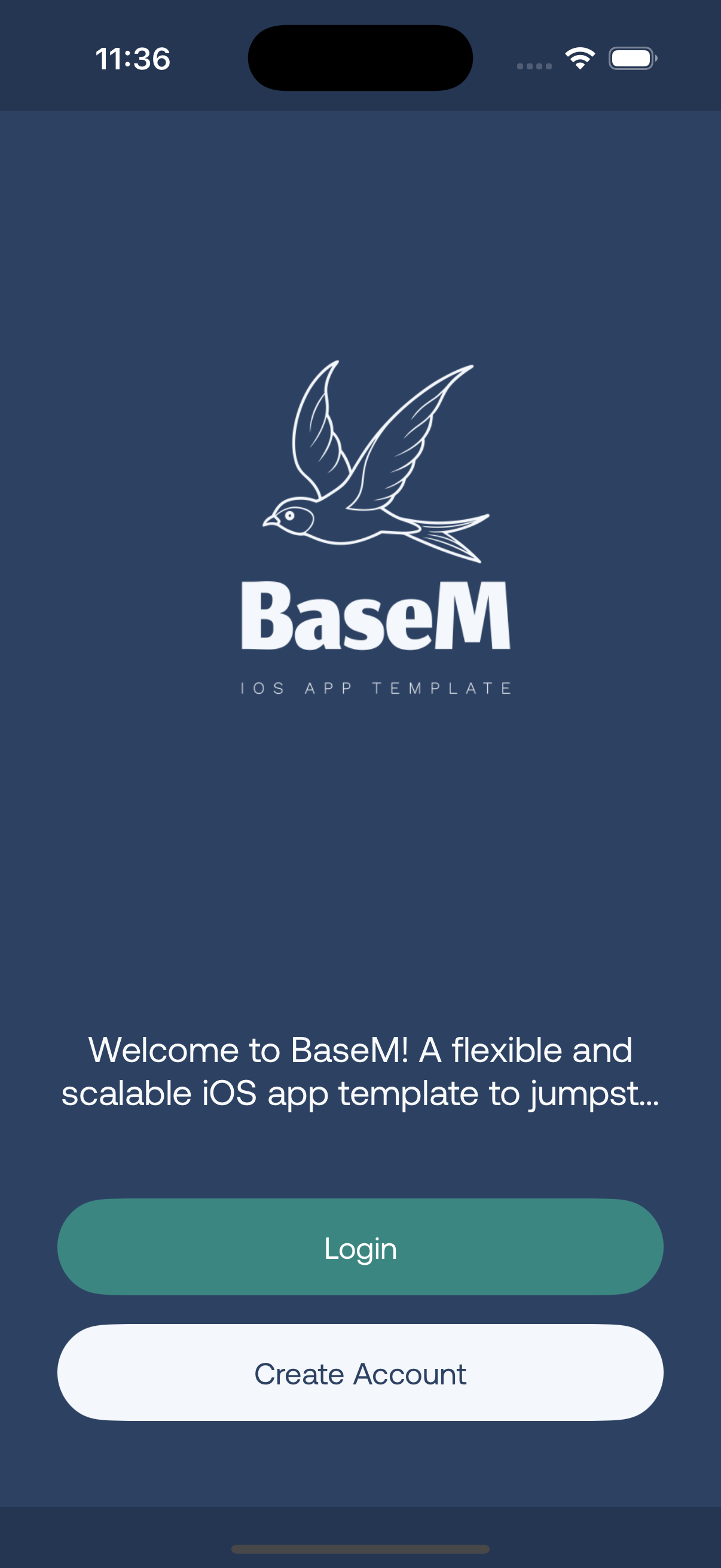iOS Native App Template SwiftUI & Modular Architecture by micho233