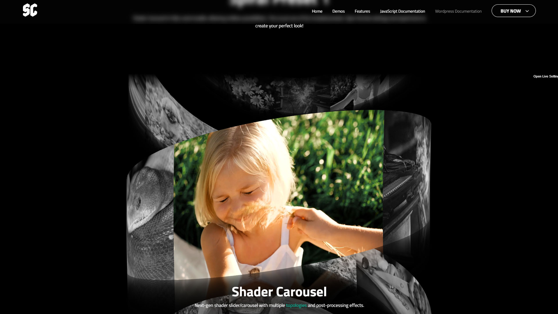 Shader Carousel WordPress and WooCommerce Plugin by FWDesign | CodeCanyon