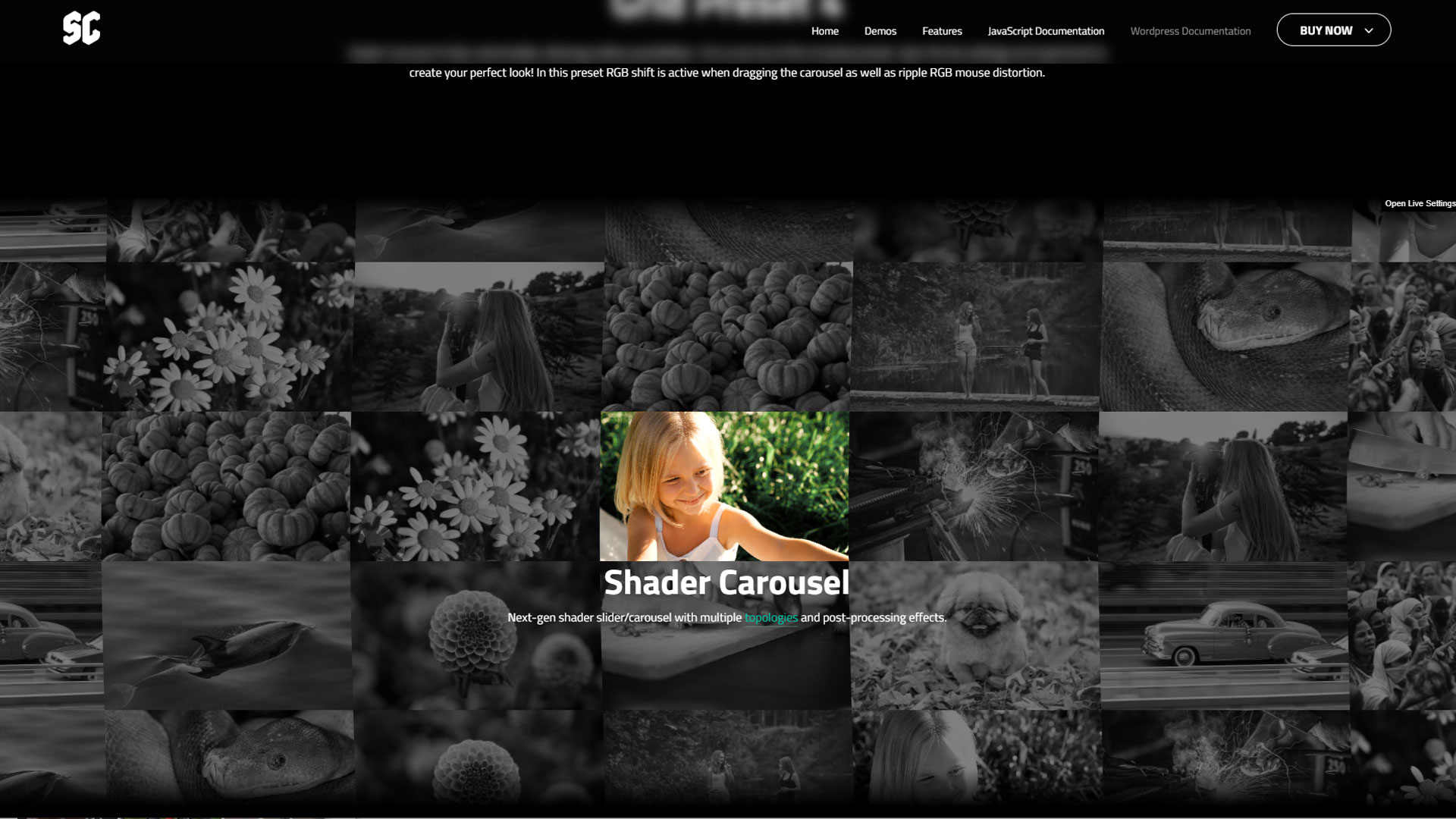 Shader Carousel WordPress and WooCommerce Plugin by FWDesign | CodeCanyon