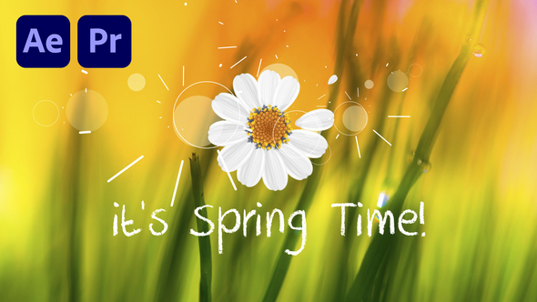 Spring Logo, After Effects Project Files | VideoHive