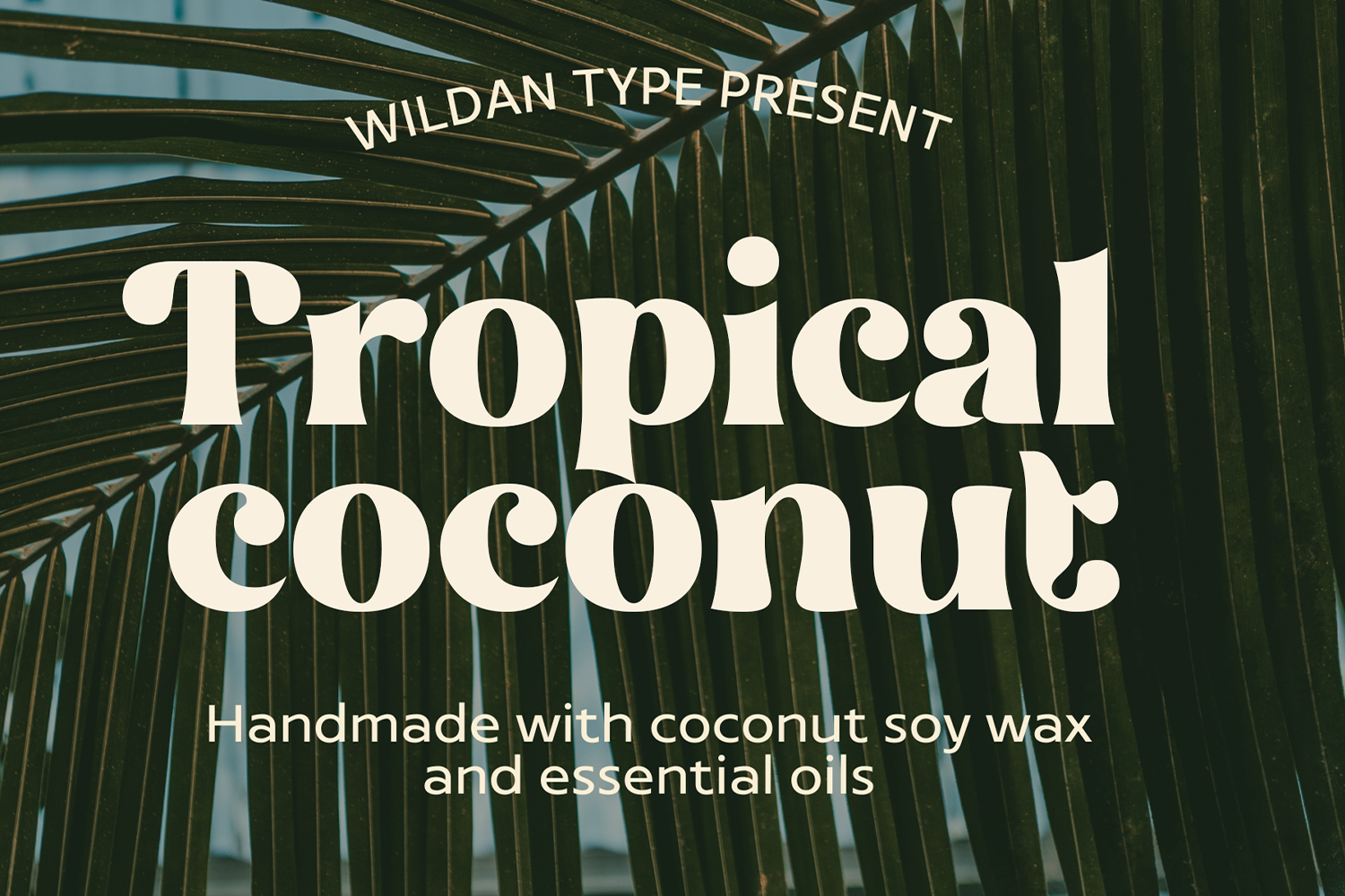 Miskan, Fonts | GraphicRiver