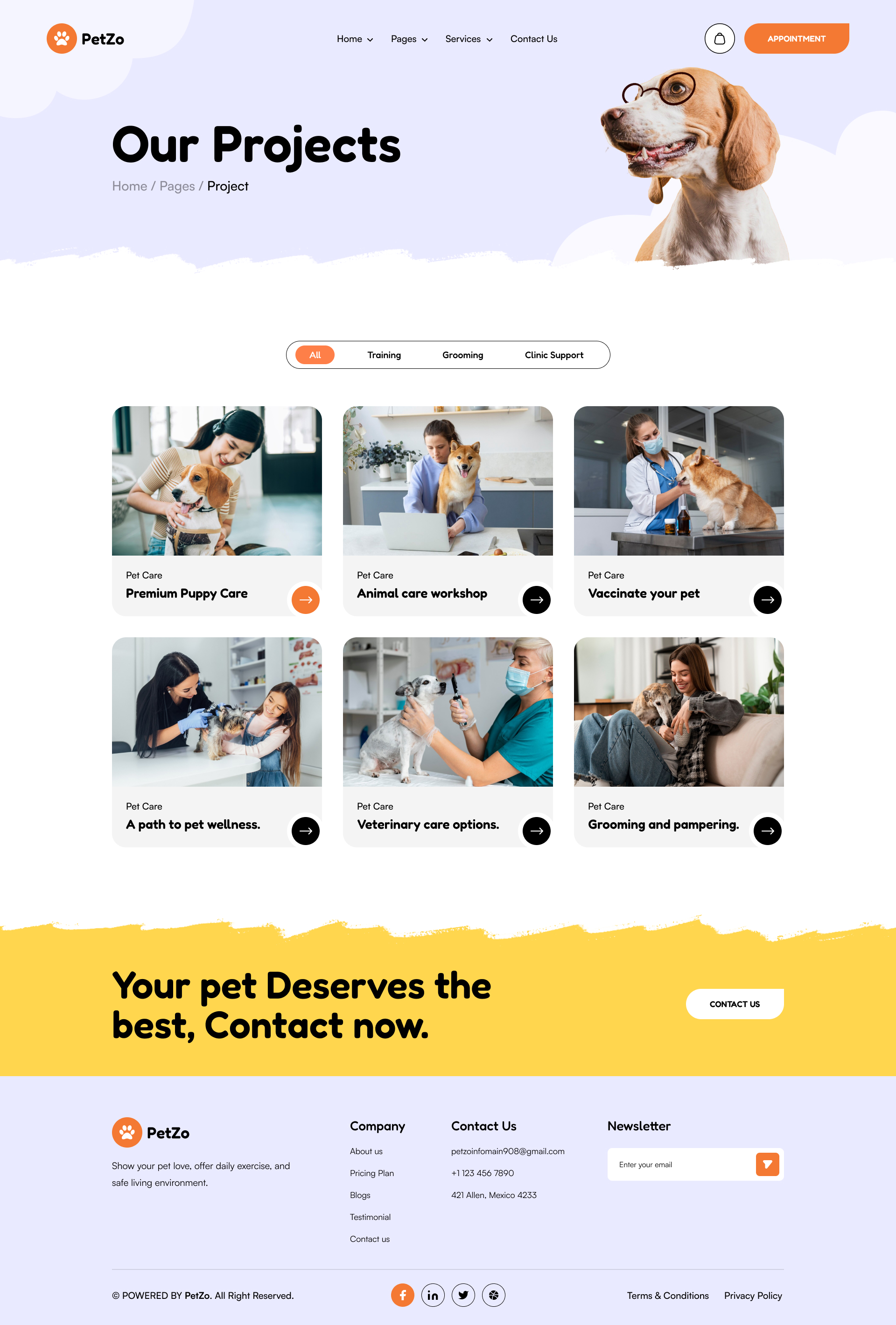 PetZo - Veterinary & Pet Care Figma Template by CreativeGigs | ThemeForest