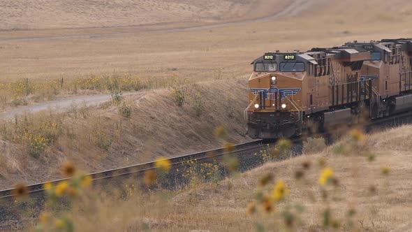 Train pulling cars full of coal looking past sunflowers, Stock Footage