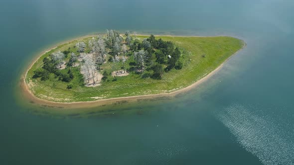 Small lake island with white and green trees from above, Stock Footage