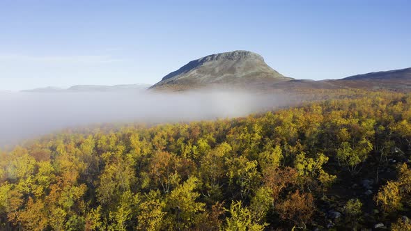 Autumn foliage colors and morning mist in forest trees filmed from air ...