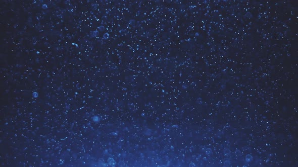 Particles in Water. Abstract Background, Stock Footage | VideoHive