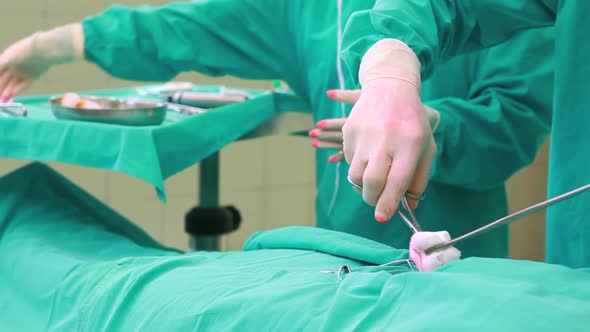 Unconscious male patient during a surgery, Stock Footage | VideoHive