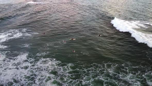 Surfers Relaxing Floating on the Boards in the Ocean, Stock Footage
