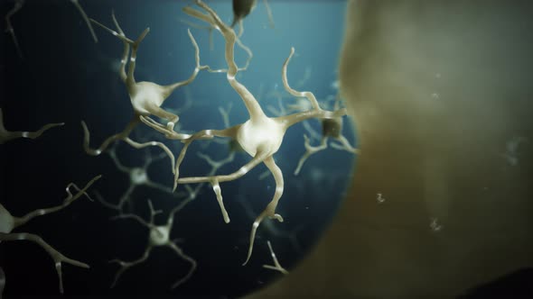 Loop Neuron Cells Connections World, Motion Graphics | VideoHive