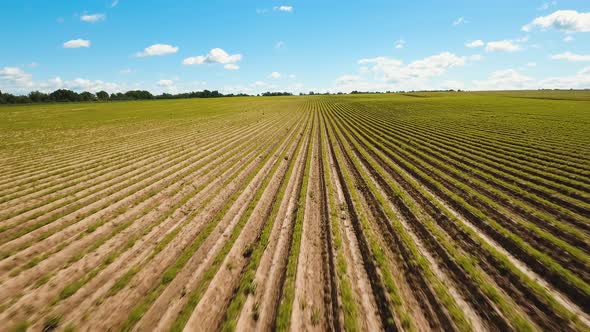 Aerial View of Farmland, Stock Footage | VideoHive