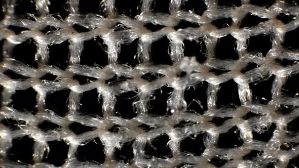 Women's Stockings, Tights Under a Microscope, Stock Footage | VideoHive