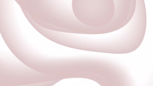 White Background, Motion Graphics | VideoHive