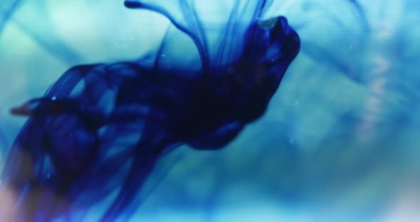 LOOPING Macro shot of a colorful blue ink drop in clear water as it ...