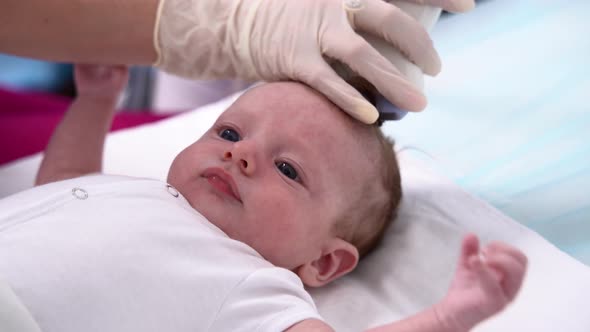 A Female Doctor Conducts an Ultrasound Examination of the Head and ...