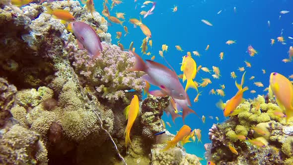 Colorful Seascape, Stock Footage | VideoHive