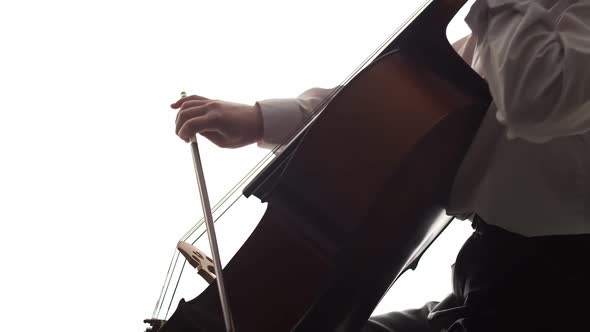 Playing Cello Side View Double Exposure, Stock Footage | VideoHive
