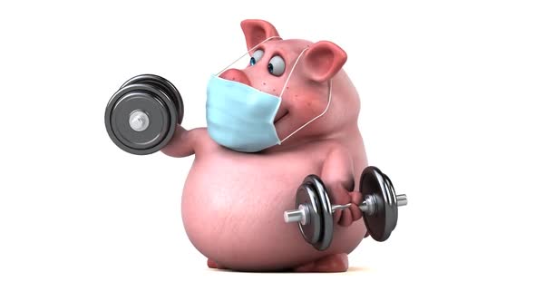 6 pigs with weights and masks, Motion Graphics | VideoHive