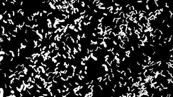 elementary life forms . observation of an unknown life form background ...