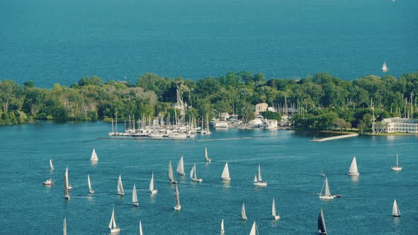 Sailing Regatta Around Central Island Opposite Toronto Canada, Stock ...