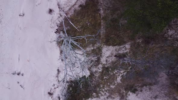 Aerial view of Baltic sea coastline at Bernati beach in Latvia, flying ...