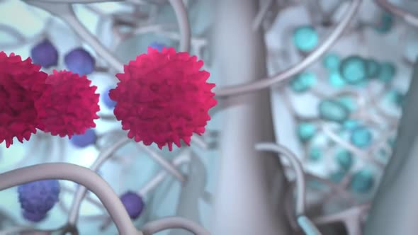 3D Medical Animation of the lymph node cells, Motion Graphics | VideoHive