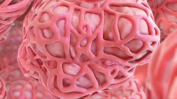 alveolar animation in the lung, Motion Graphics | VideoHive