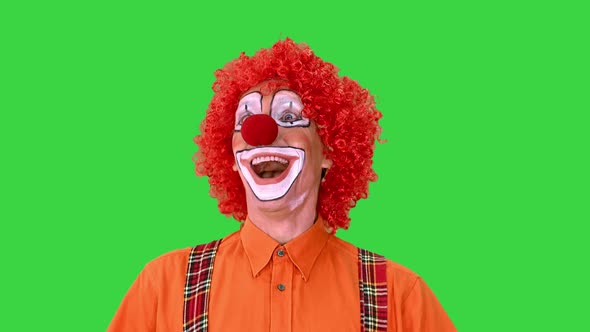 Happy Walking Clown Looking To the Sides on a Green Screen, Chroma Key ...