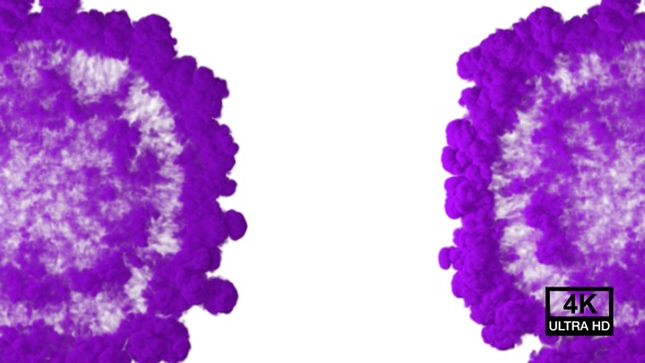 Purple Color Powder Explosion From Left And Right Side 4K, Motion Graphics