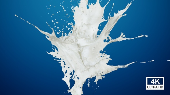 Milk Explosion 4K, Motion Graphics | VideoHive