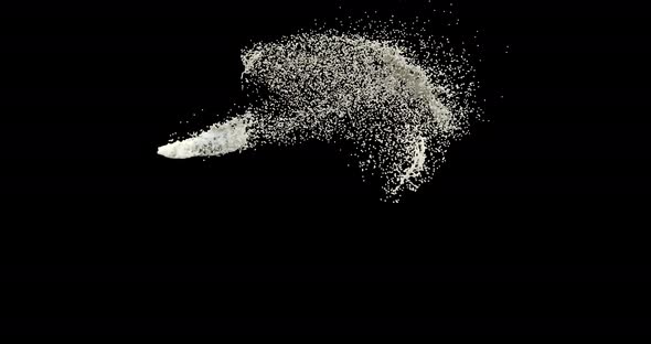 White Paint Drops Explosion, Motion Graphics | VideoHive