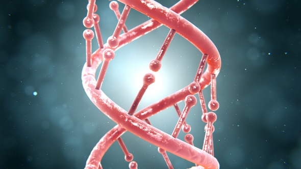 Dna Growth 02 Shot 01, Motion Graphics | VideoHive