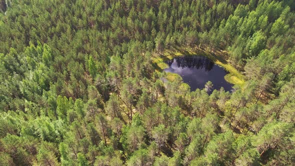 Stunning sliding drone shot of a very beautiful small forest pond in ...