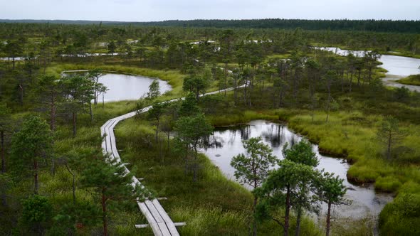 Walkway In The Bogs, Stock Footage | VideoHive