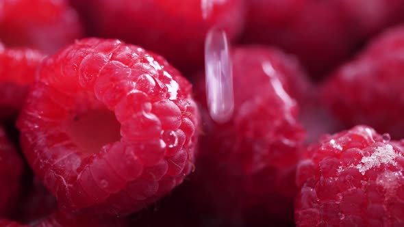 Fresh Raspberry Close Up, Stock Footage | VideoHive