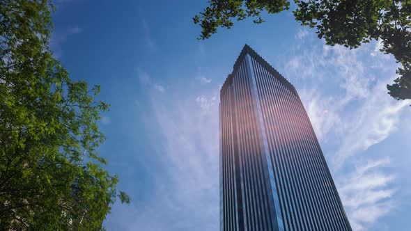 Timelapse Modern Skyscraper High Office Building and Green Trees ...