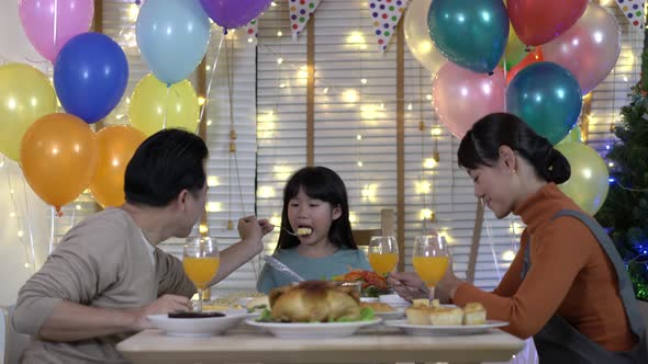 Happy family dinner, Stock Footage | VideoHive