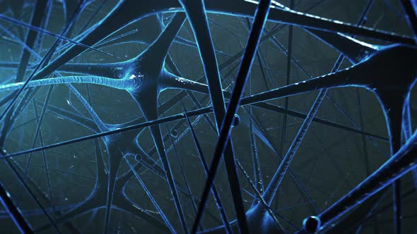 Neuron Network 001, Motion Graphics | VideoHive