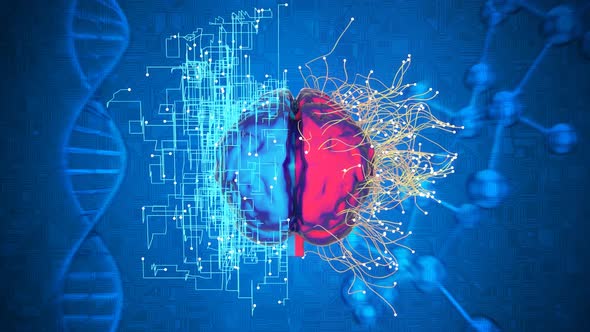 Crab with a mask by julost | VideoHive