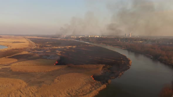 Burning dry reeds on the river bank, Stock Footage | VideoHive