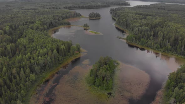 Contaminated Polluted Forest Lake with Several Green Islands, Stock Footage