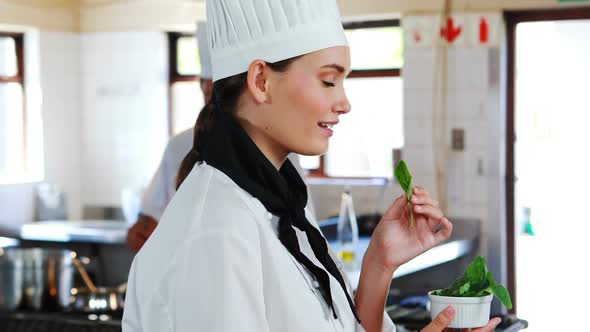 Smiling chef smelling herbs in kitchen, Stock Footage | VideoHive
