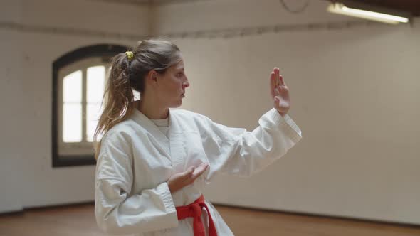 Medium Shot of Martial Artsist Standing in Self Defence Pose, Stock Footage