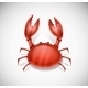 Isolated Crab, Vectors | GraphicRiver