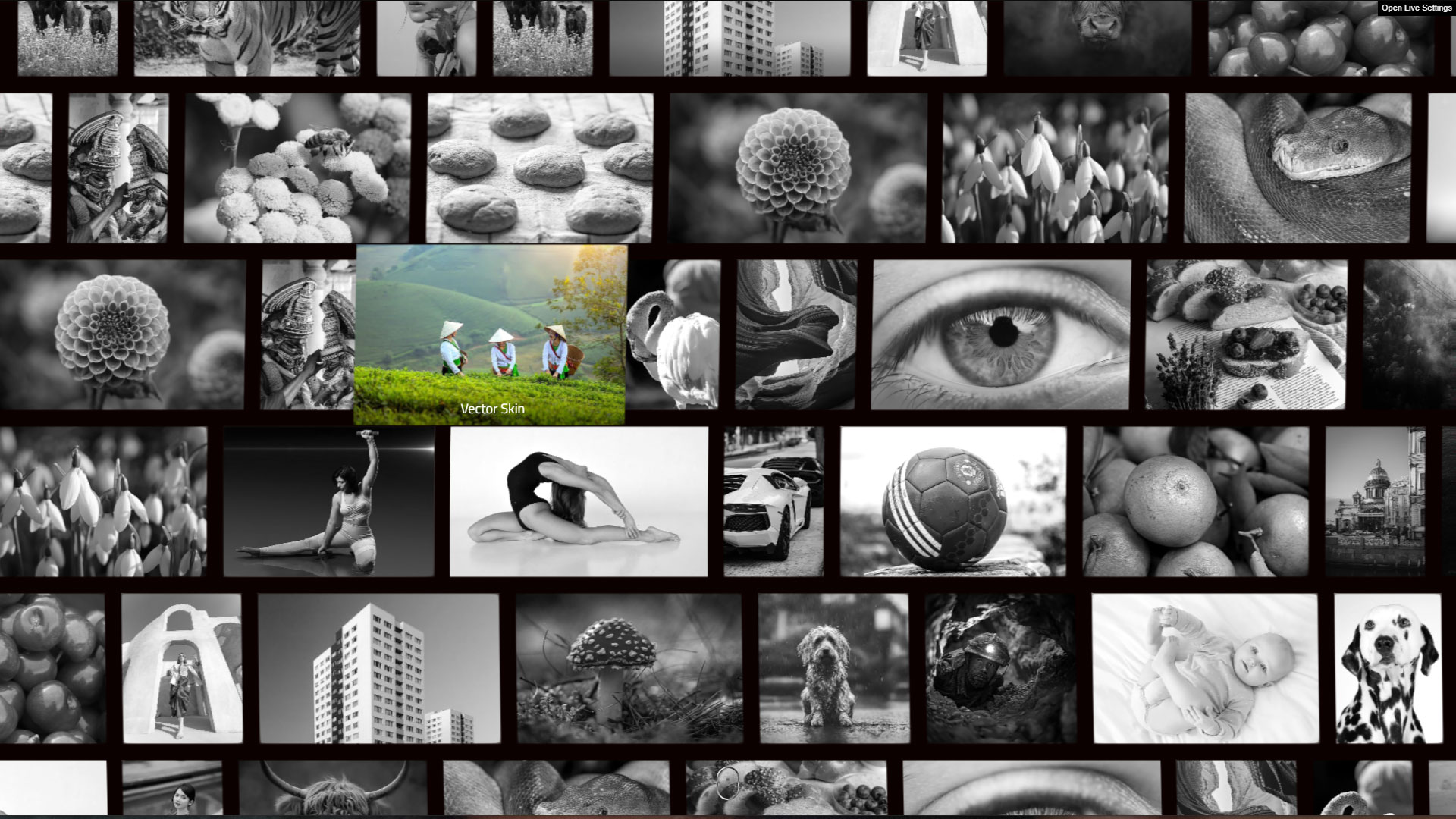 Shader Grid by FWDesign | CodeCanyon