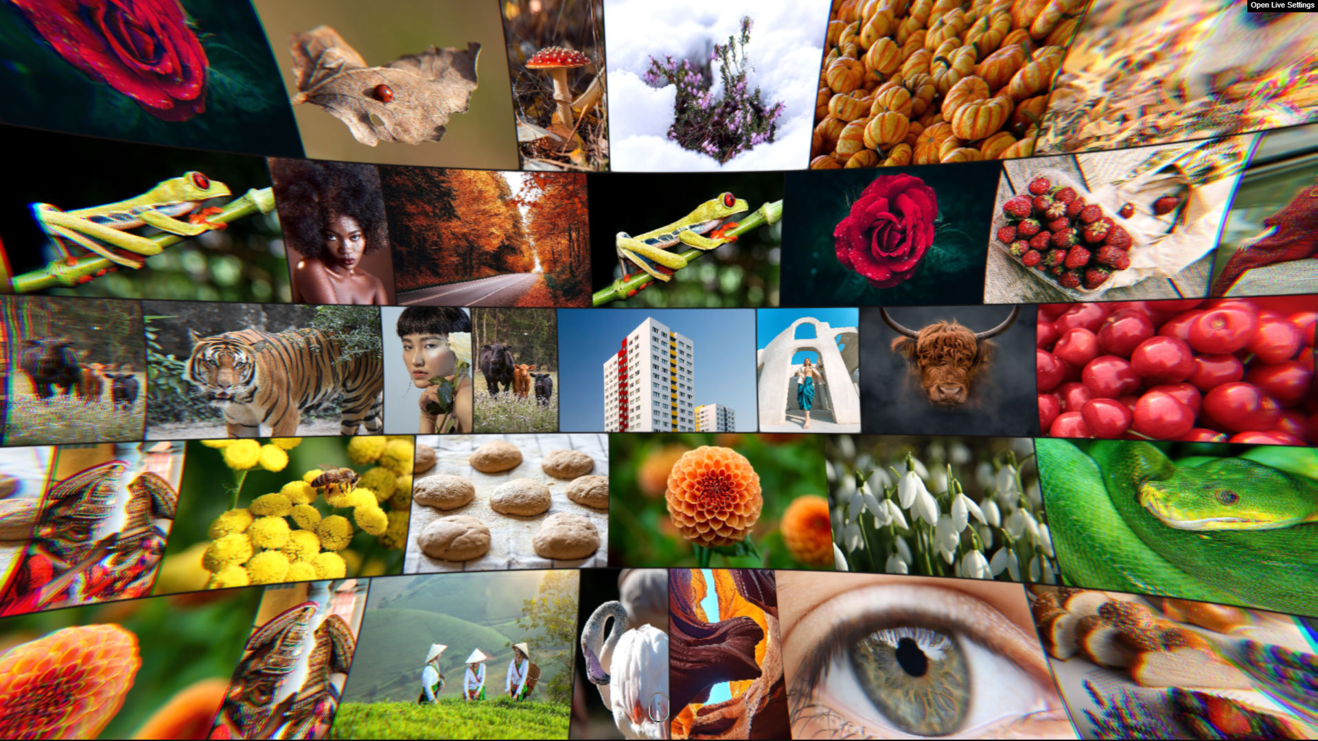 Shader Grid by FWDesign | CodeCanyon